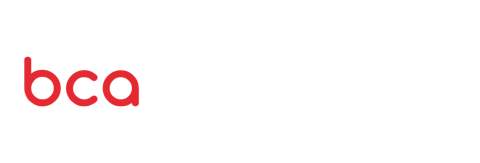 BCA AG mit starkem Wachstum 2024 - BCA