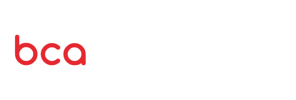 BCA AG mit starkem Wachstum 2024 - BCA